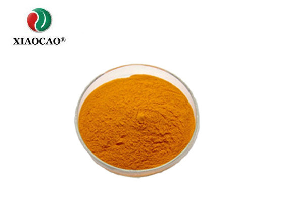 Natural Water Soluble Organic Herbal Extracts Dehydrated Tomato Powder