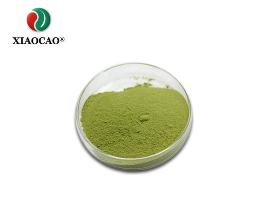 Plant Organic Broccoli Powder / Yellow Green  Broccoli Extract Powder