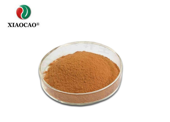 Food Grade Organic Herbal Extracts Carrot Powder Non Irradiation