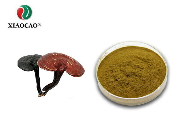 Red 100% Organic Herbal Extracts Reishi Mushroom Powder Lingzhi Ganoderma Lucidum