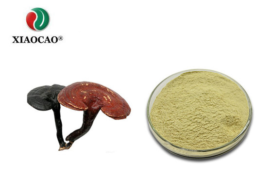 Red 100% Organic Herbal Extracts Reishi Mushroom Powder Lingzhi Ganoderma Lucidum