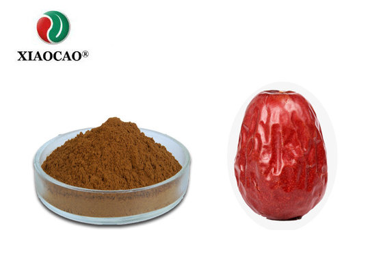 100% Organic Pure Jujube Powder , Chinese Red Dates Extract Food Additive