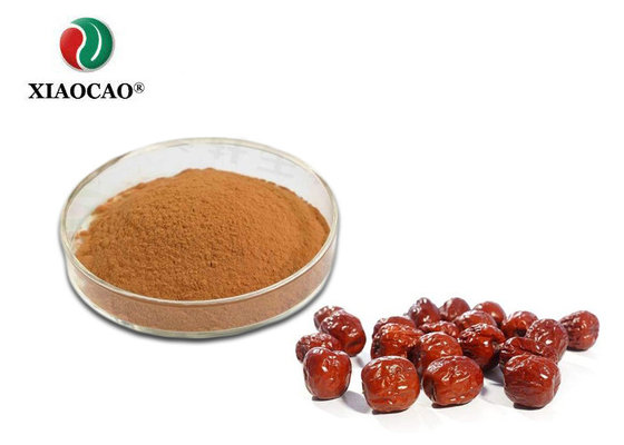 100% Organic Pure Jujube Powder , Chinese Red Dates Extract Food Additive