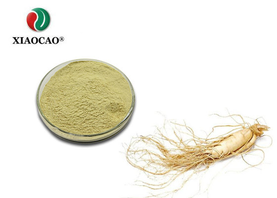 CAS 90045-38-8 Ginsenosides Organic Herbal Extracts Gold Ginseng Root Extract
