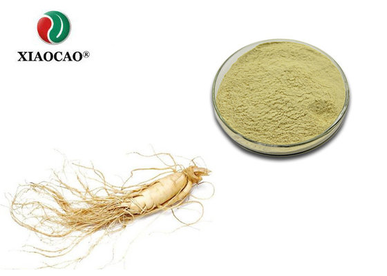 CAS 90045-38-8 Ginsenosides Organic Herbal Extracts Gold Ginseng Root Extract