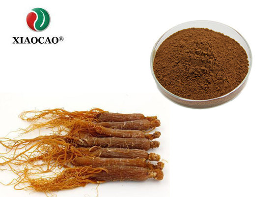 CAS 90045-38-8 Ginsenosides Organic Herbal Extracts Gold Ginseng Root Extract