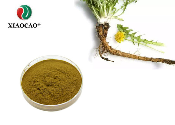 CAS 68990-74-9 Dandelion Root Extract / Dandelion Root Herbal Supplement