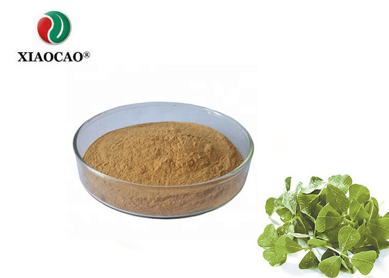 100% Nature Alfalfa Powder Extract / Plant Extract Alfalfa Seed For Improving Eyesight