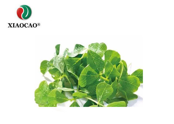 100% Nature Alfalfa Powder Extract / Plant Extract Alfalfa Seed For Improving Eyesight