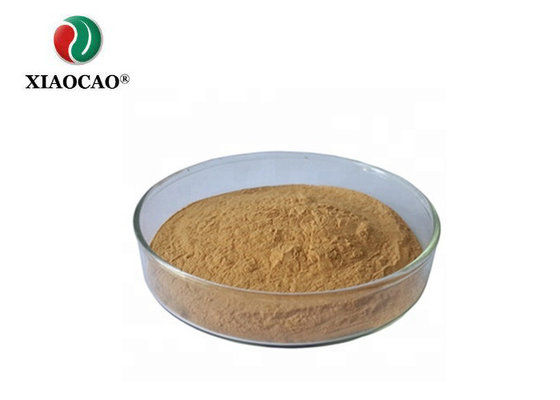 100% Nature Alfalfa Powder Extract / Plant Extract Alfalfa Seed For Improving Eyesight