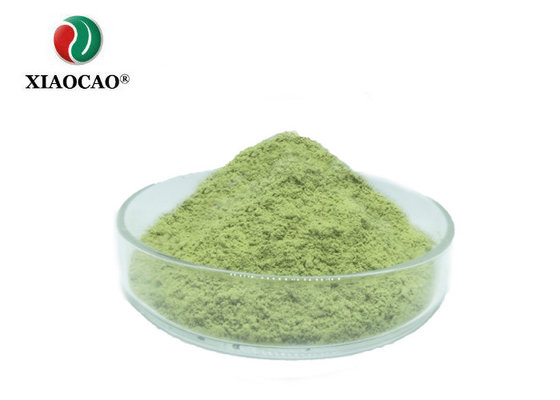Food Grade Organic Herbal Extracts Organic Alfalfa Juice Powder Green