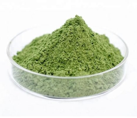 200 Mesh Organic Barley Grass Powder / Green Barley Grass Japan 100%