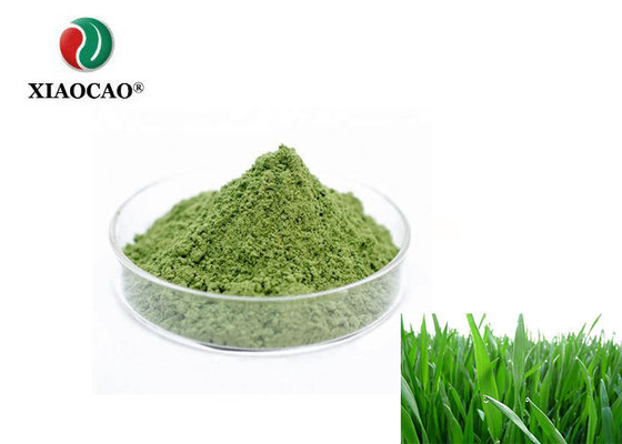 Food Supplement Organic Herbal Extracts Wheatgrass Barley Grass Juice Powder