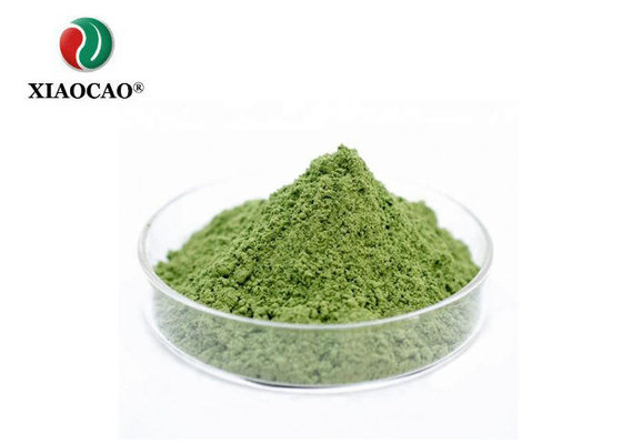 Food Supplement Organic Herbal Extracts Wheatgrass Barley Grass Juice Powder