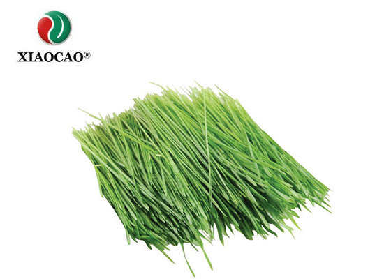 Pure Organic Wheat Grass Juice Powder / Brush Cutter Wheat Rice Grass