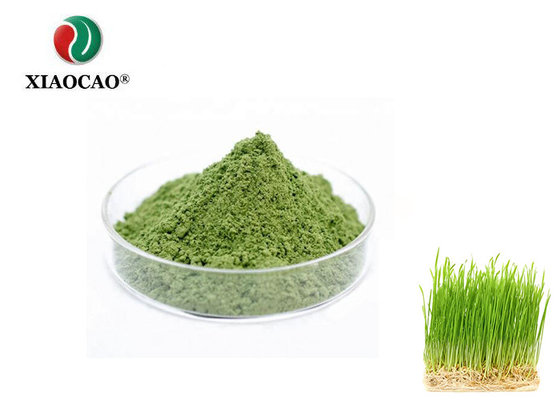 99% Organic Oat Grass Powder , Pharmaceutical Grade Oat Fiber Powder