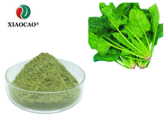 Food Grade Spinach Juice Powder / Organic Dehydrated Spinach Powder