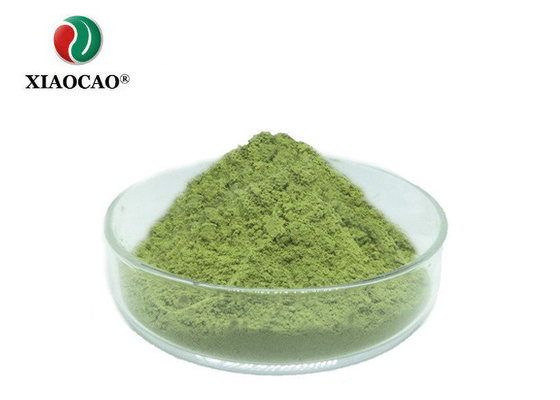 Food Grade Spinach Juice Powder / Organic Dehydrated Spinach Powder