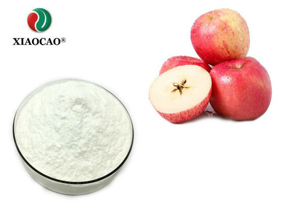 Organic Spray Freeze Dried Powder Apple Juice Concentrate Powder Apple Flavor Powder