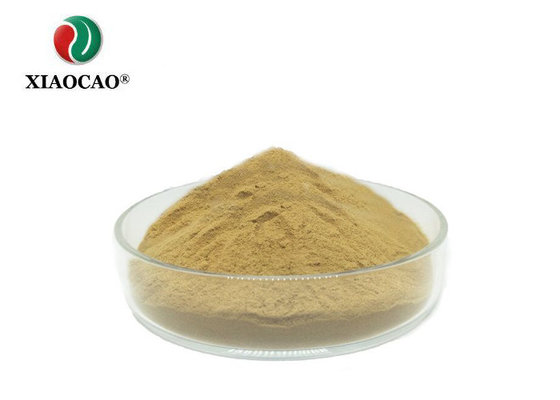 Food Additive Pure Ginger Extract Powder / Nature Ginger Root Extract Powder