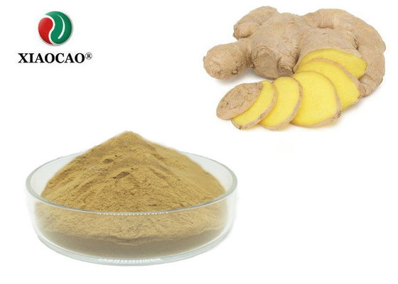 Food Additive Pure Ginger Extract Powder / Nature Ginger Root Extract Powder