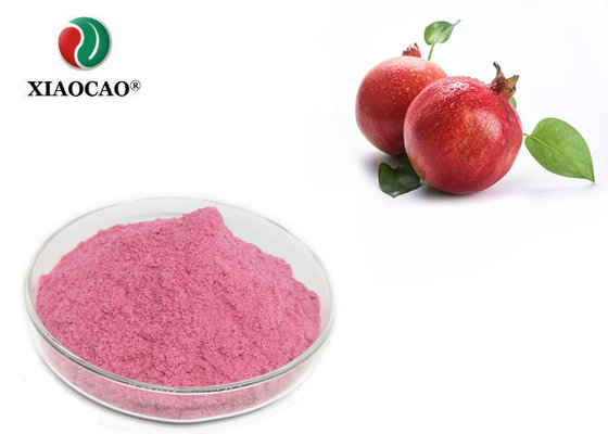 No Pigment Additives Freeze Dried Powder Pomegranate Fruit Juice Powder