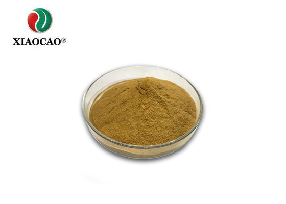 Nutritional Supplement Freeze Dried Powder Organic Goji Berry Extract Powder
