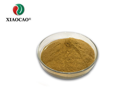 Juglans Nigra Hull Extract Freeze Dried Powder Kernel Organic Black Walnut Shell Powder