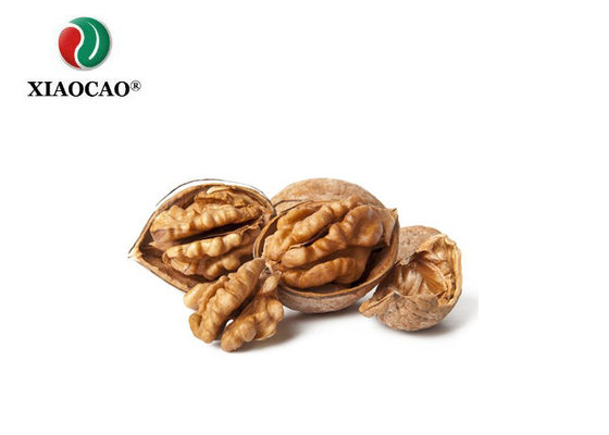 Juglans Nigra Hull Extract Freeze Dried Powder Kernel Organic Black Walnut Shell Powder