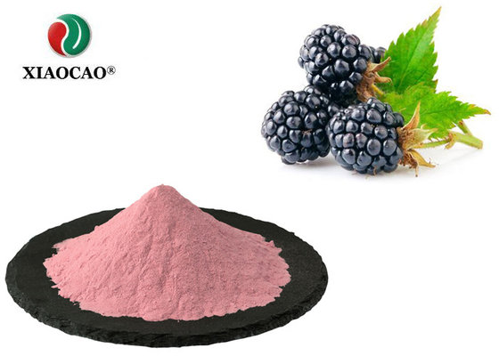 100% Natural Freeze Dried Powder Purple Fine Sugar Cane Mulberry Powder