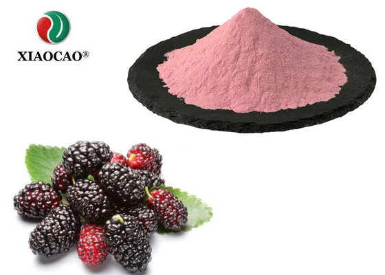 Fighting Cancer Mulberry Fruit Juice Powder / Mulberry Fruit Powder
