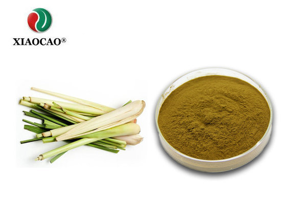 Solvent Extraction Freeze Dried Powder Pure Natural Lemon Grass Extract
