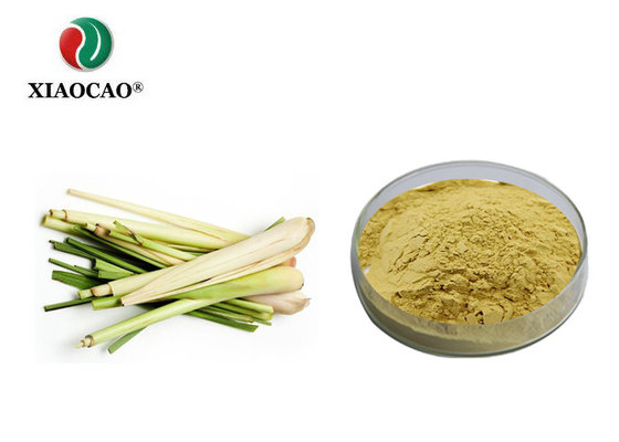 Solvent Extraction Freeze Dried Powder Pure Natural Lemon Grass Extract