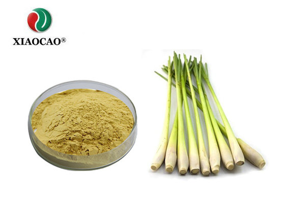 Solvent Extraction Freeze Dried Powder Pure Natural Lemon Grass Extract