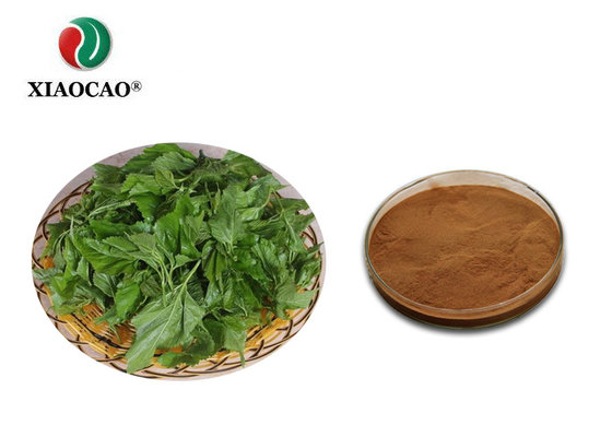 Sang Ye Freeze Dried Powder Mulberry Teaf 1 - Deoxynojirimycin Folium Mori Extract