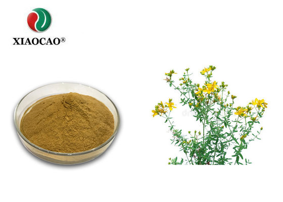 0.3% Freeze Dried Powder Hypericin Hyperforin Perforatum Extract Powder