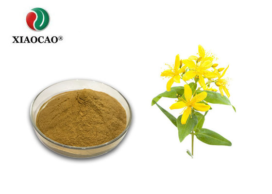 0.3% Freeze Dried Powder Hypericin Hyperforin Perforatum Extract Powder