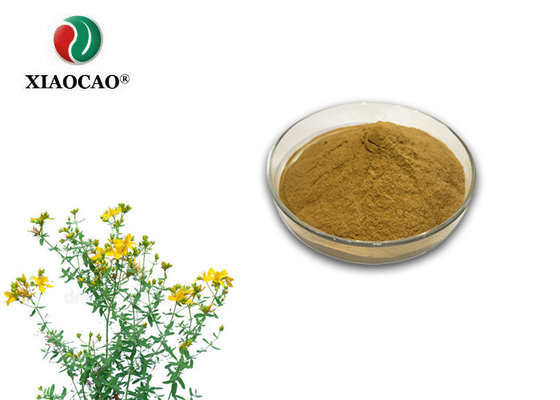 0.3% Freeze Dried Powder Hypericin Hyperforin Perforatum Extract Powder