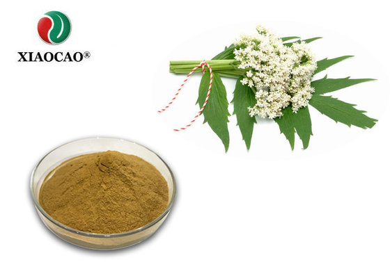 Root Valerian Extract / Valeriana Officinalis Extract Valeric Acid Powder