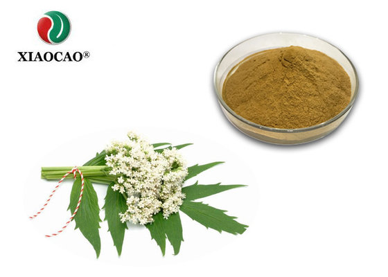 Root Valerian Extract / Valeriana Officinalis Extract Valeric Acid Powder