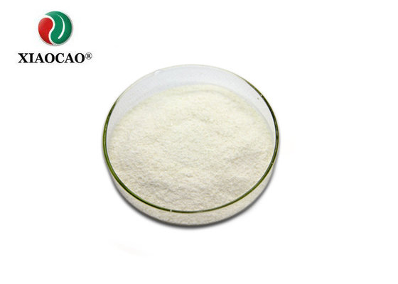 Organic Astragalus Root Extract Powder / Pharmaceutical Grade Astragalus Extract