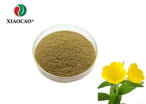 Organic Evening Primrose Extract Powder , Freeze Dried Juice Powder