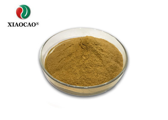 Pure Natural Freeze Dried Powder Wound Therapy Organic Horsetail Extract Powder