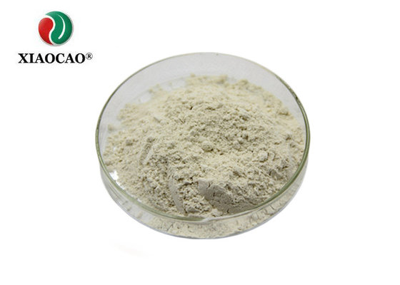 Food Grade Freeze Dried Powder Concentrate Instant Lotus Seed Extract Powder