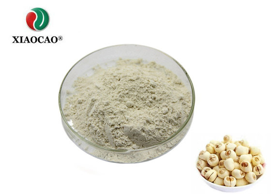 Food Grade Freeze Dried Powder Concentrate Instant Lotus Seed Extract Powder