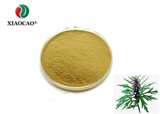 Leonurus Cardiaca Motherwort Extract Herba Leonuri Powder , Freeze Dried Greens Powder