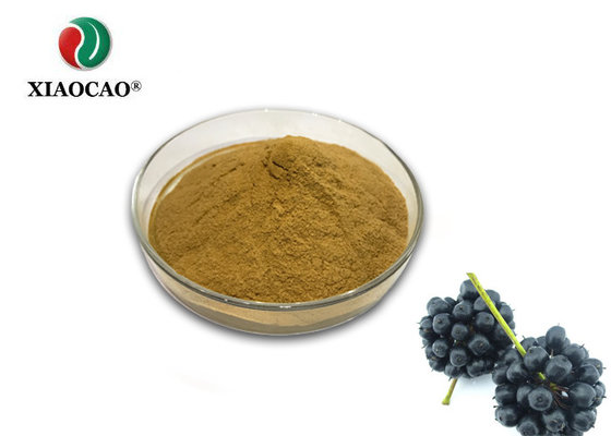 OEM Organic Herbal Extracts Organic Acanthopanax Senticosus Extract Powder