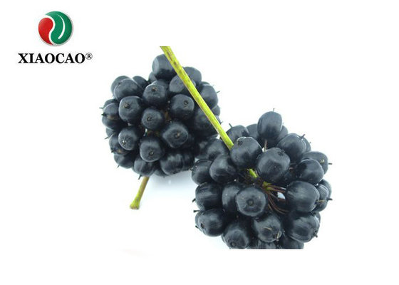 OEM Organic Herbal Extracts Organic Acanthopanax Senticosus Extract Powder