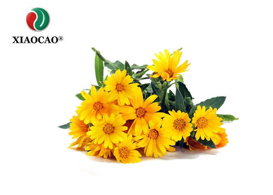 Pharmaceutical Organic Chrysanthemum Powder , Chrysanthemum Extract Powder