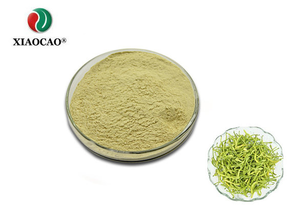 Chlorogenic Acid 98% Organic Herbal Extracts Organic Honeysuckle Powder